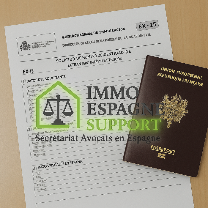 Formulaire EX-15 du NIE : Guide pas à pas et erreurs à éviter